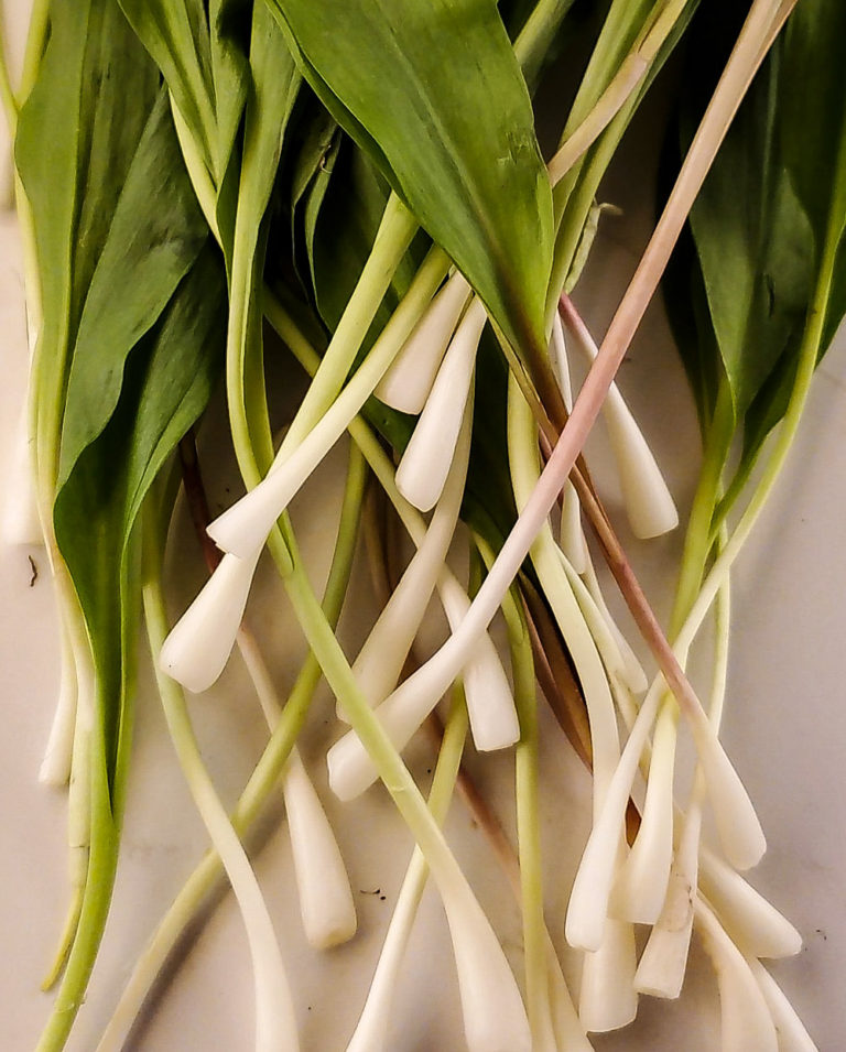 Pickled Ramps | The Lemon Apron