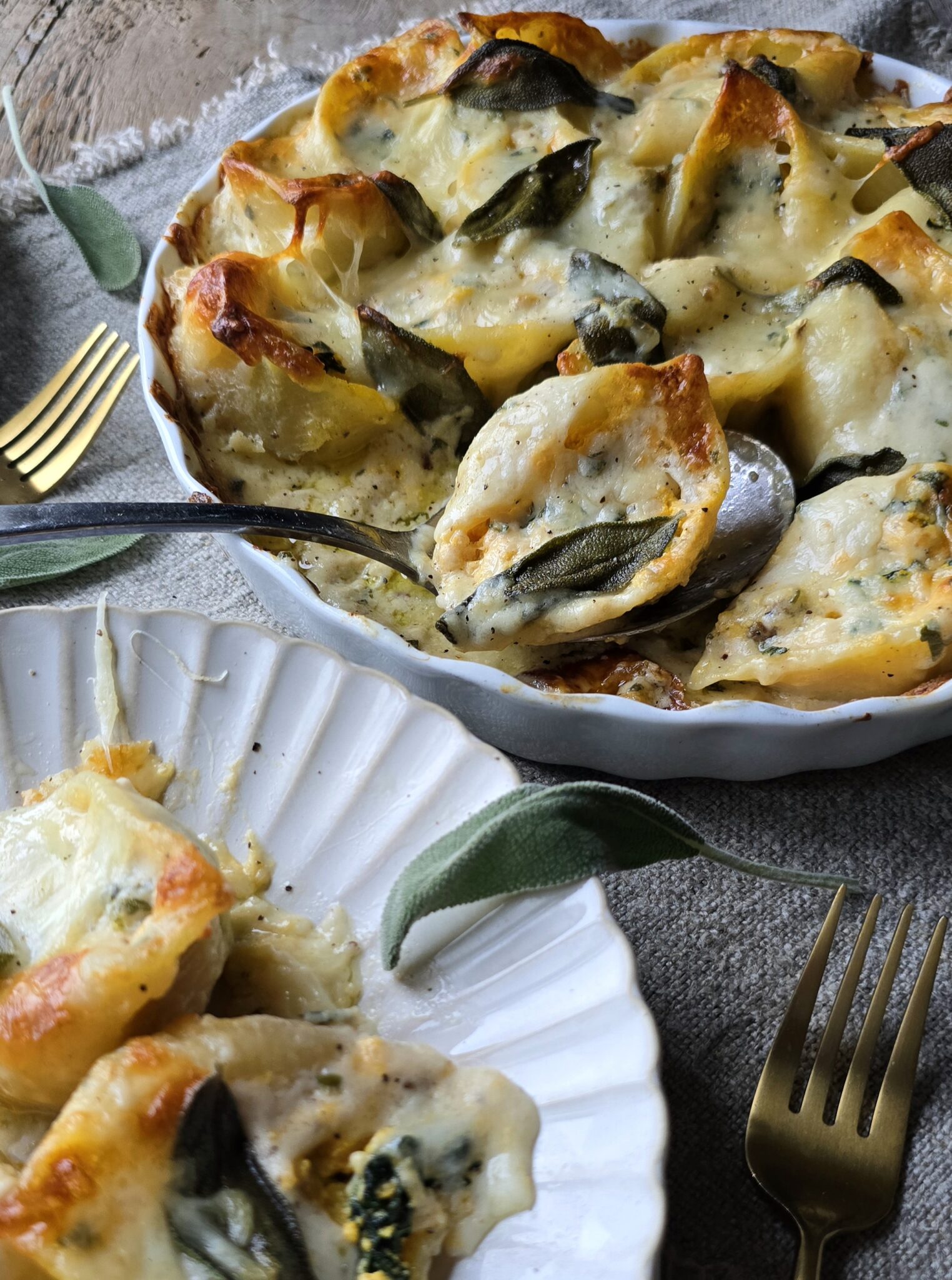 Squash Stuffed Shells 7 - The Lemon Apron